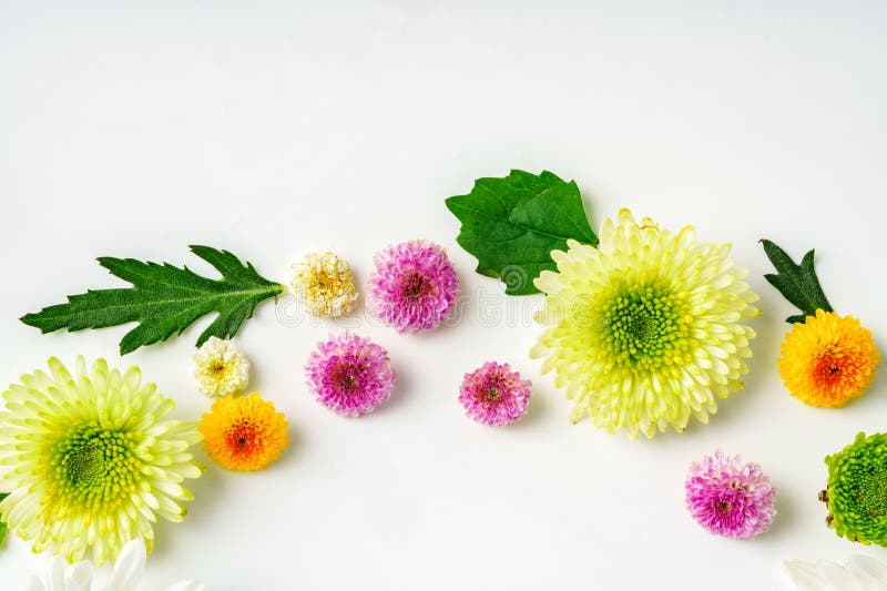 Small Spring Flowers Arranged on White Background Copy Space Stock ...