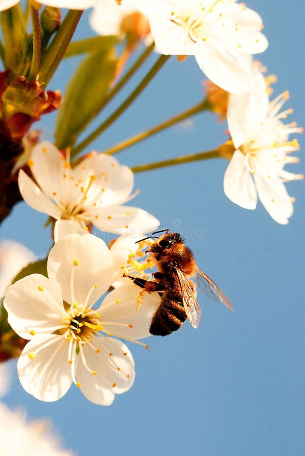 Small spring lake stock image. Image of northern, hill - 1201399