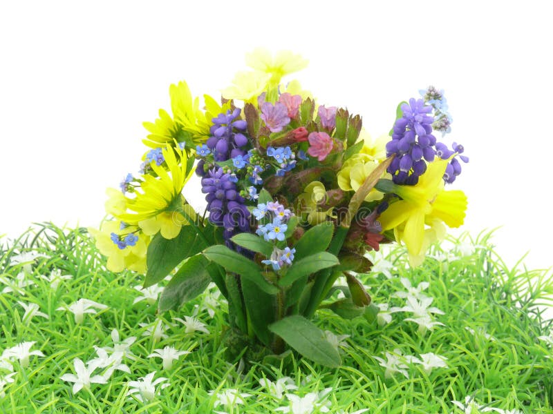 Small Spring Garden Flowers Stock Photo - Image of horticulture, hobby ...