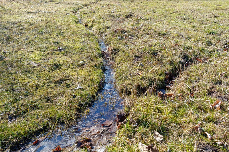 Small Spring Stream Flowing through Grassy Field Stock Photo - Image of ...