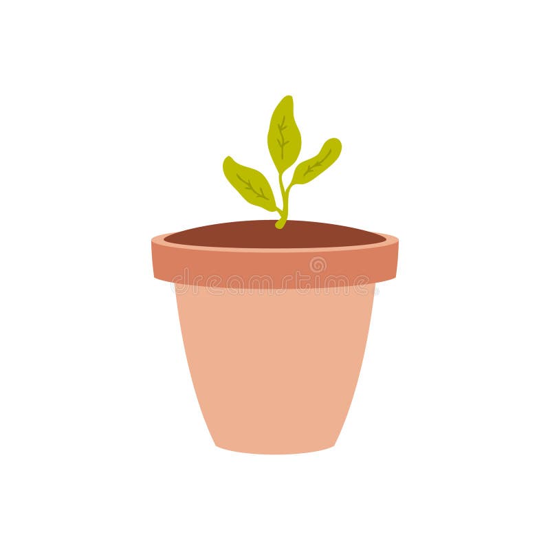 Small Sprout in a Flower Pot. Hand Drawn Vector Illustration Isolated ...