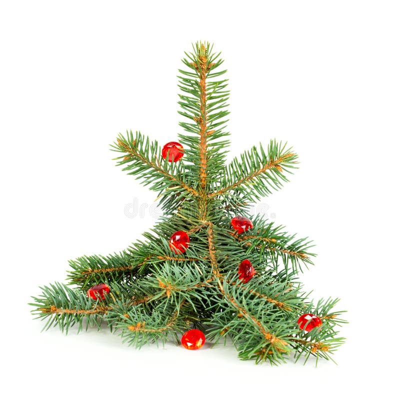 Small spruce tree stock photo. Image of branch, decoration - 78579864
