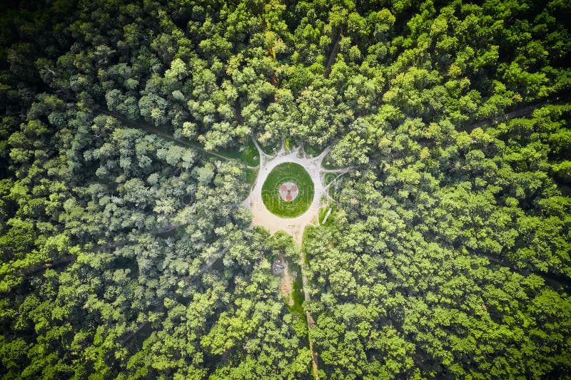 Small Square in the Middle of Dense Forest. Top Down View Stock Photo ...