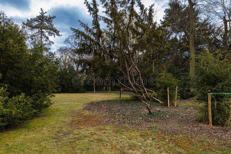 Small Square in Small Park Full of Small Bushes and Trees at Cloudy Day ...