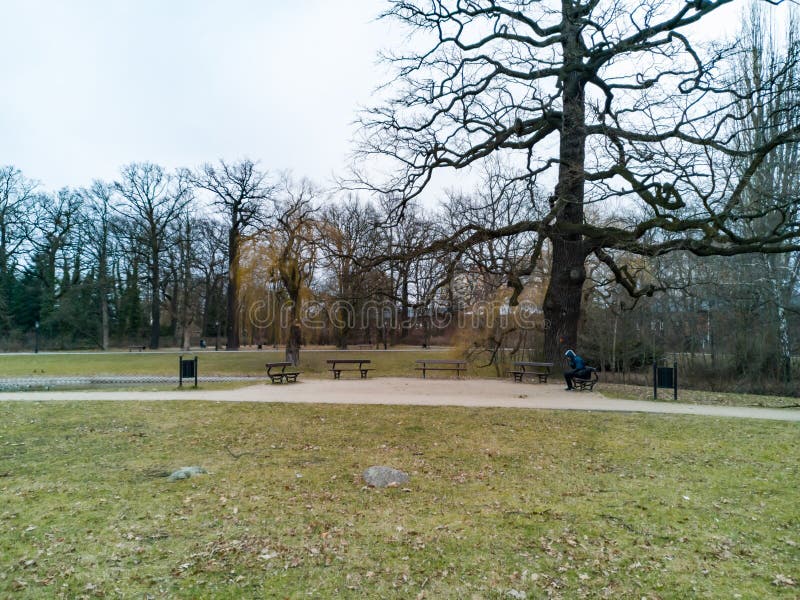 Small Square in Park with High Tree and Few Benches Stock Photo - Image ...