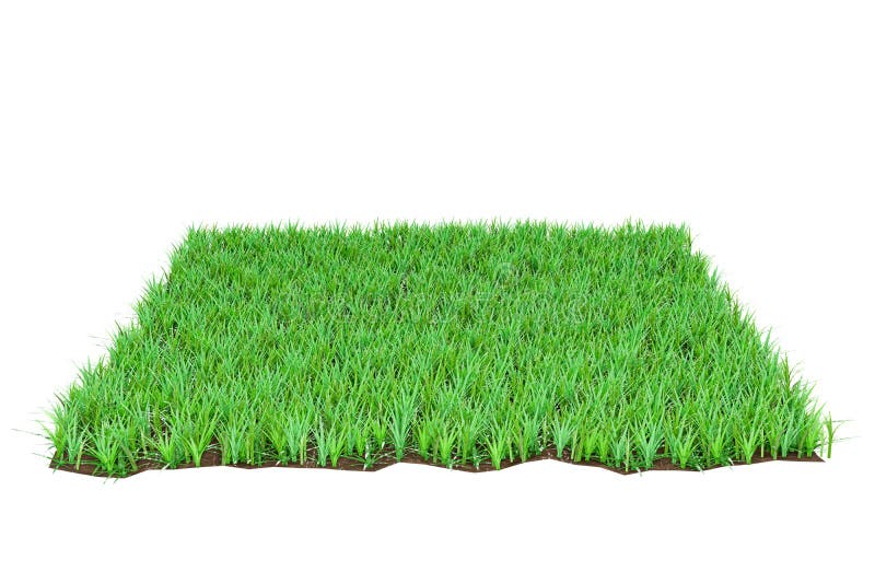 Grass Podium on White Background Stock Illustration - Illustration of ...