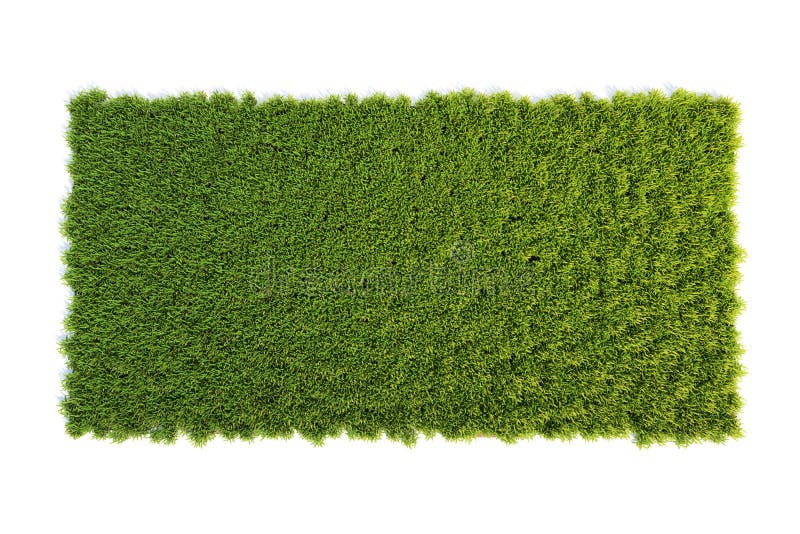 Small Square Surface Covered with Grass, Grass Podium Top View, Lawn ...