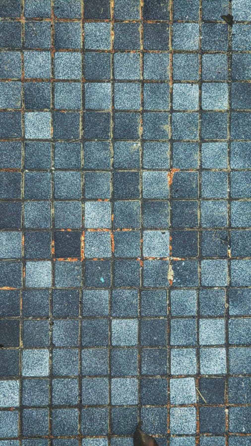 Small Square Tiles of a Pool Stock Photo - Image of square, blue: 372954192