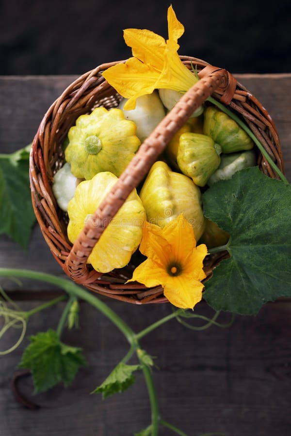 Small Squash in a Basket, Top View Stock Image - Image of crop, harvest ...