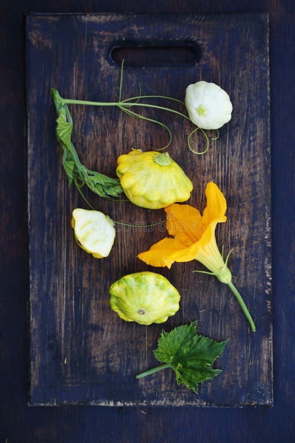 Small Squash on Dark, Top View Stock Image - Image of black, holiday ...