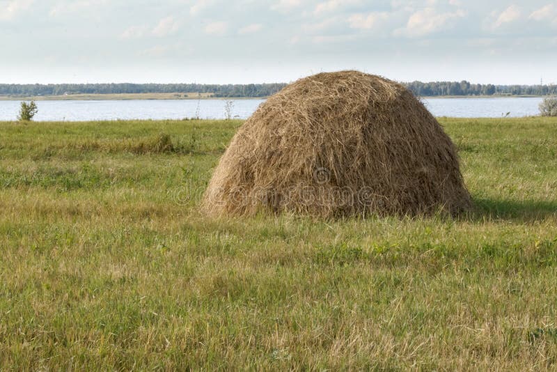 Small Stack of Mown Hay Standing in the Field Stock Photo - Image of ...