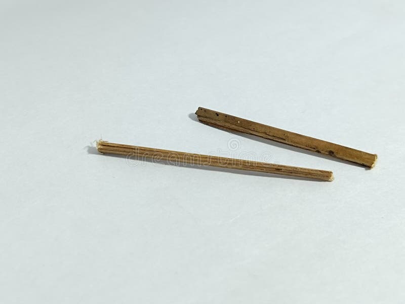 Small Sticks, Broken Broome Stick Isolated on White Background Stock ...