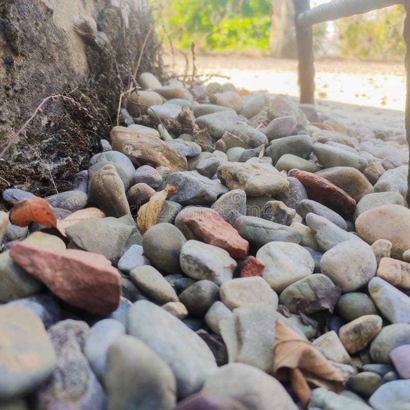 The small stone stock photo. Image of pebals, stone - 256693284