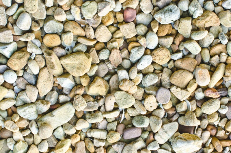 Small stone. stock photo. Image of nature, ground, detail - 25983656