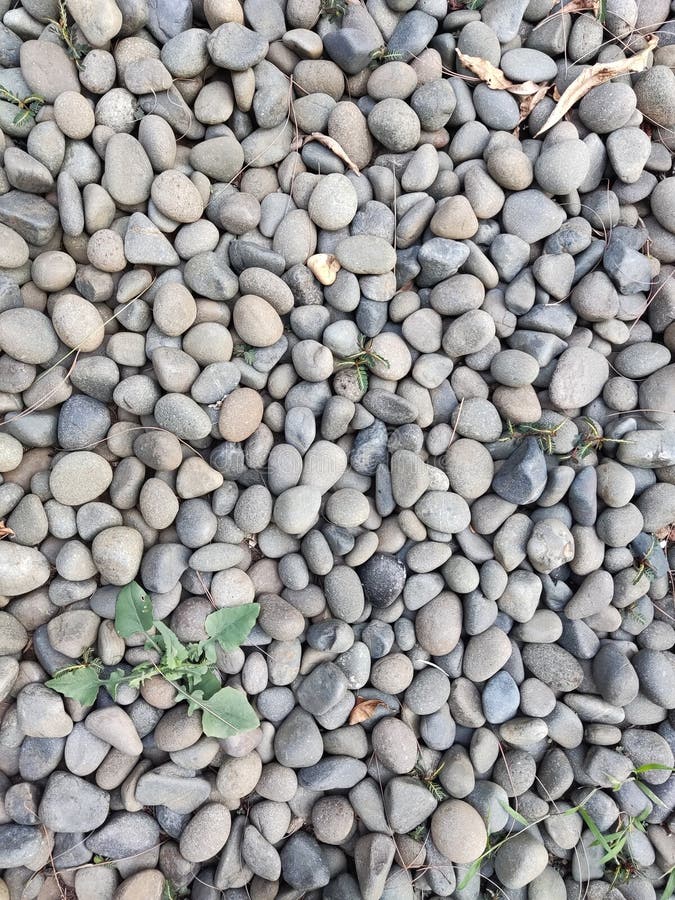 Small Stone Area on the Terrace Stock Image - Image of granite, gray ...