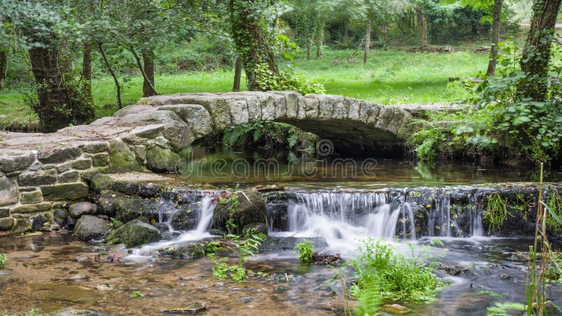 Small Stone Bridge Over a Small River in a Forest Stock Image - Image ...