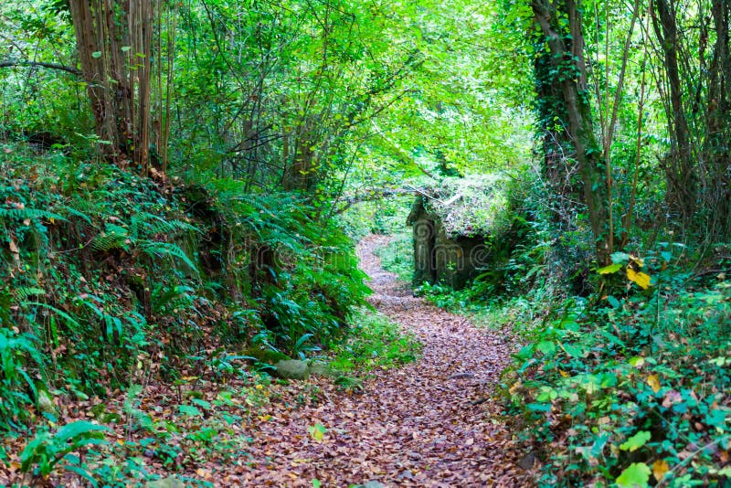 Small Stone Hut in the Forest in Asturis Stock Photo - Image of europe ...