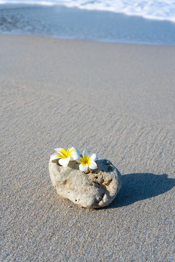 A Small Stone of an Interesting Smooth Form is Washed by Waves on the ...