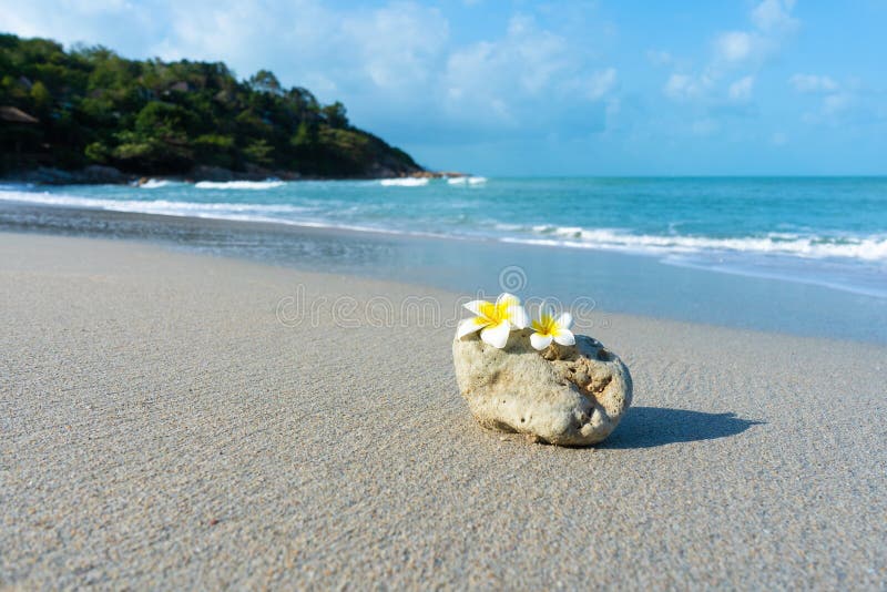 A Small Stone of an Interesting Smooth Form is Washed by Waves on the ...