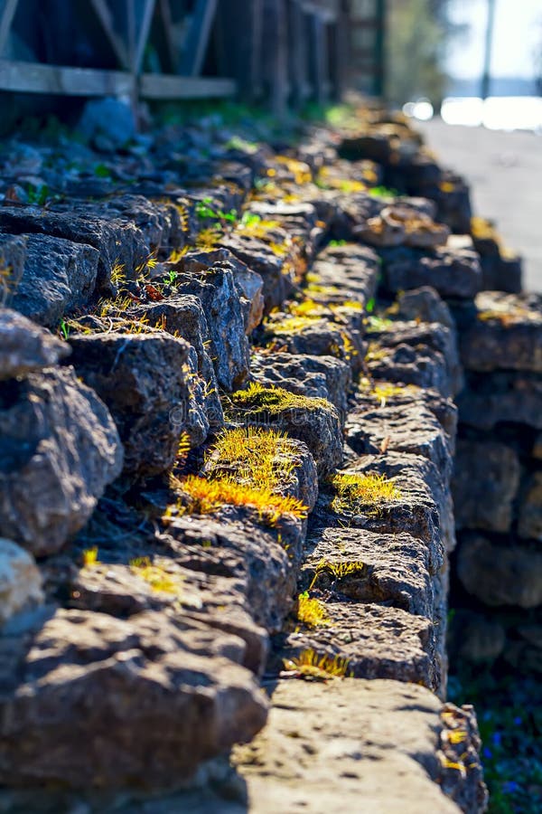 Small Stone Steps with Grass on Them. Close-up Stock Image - Image of ...