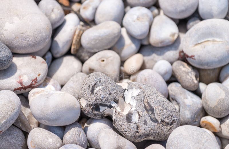 Small Stones Along the Seaside. Background Stock Image - Image of ...