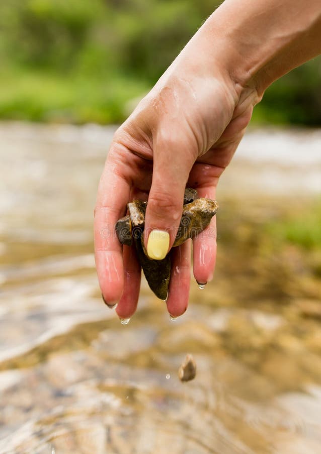 Small Stones in the Hand on the Pond Stock Image - Image of brown ...