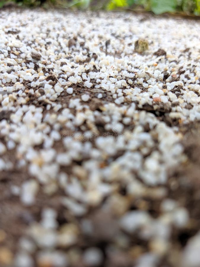Small Small Stones Like a Ice Pellets. Stock Image - Image of stones ...