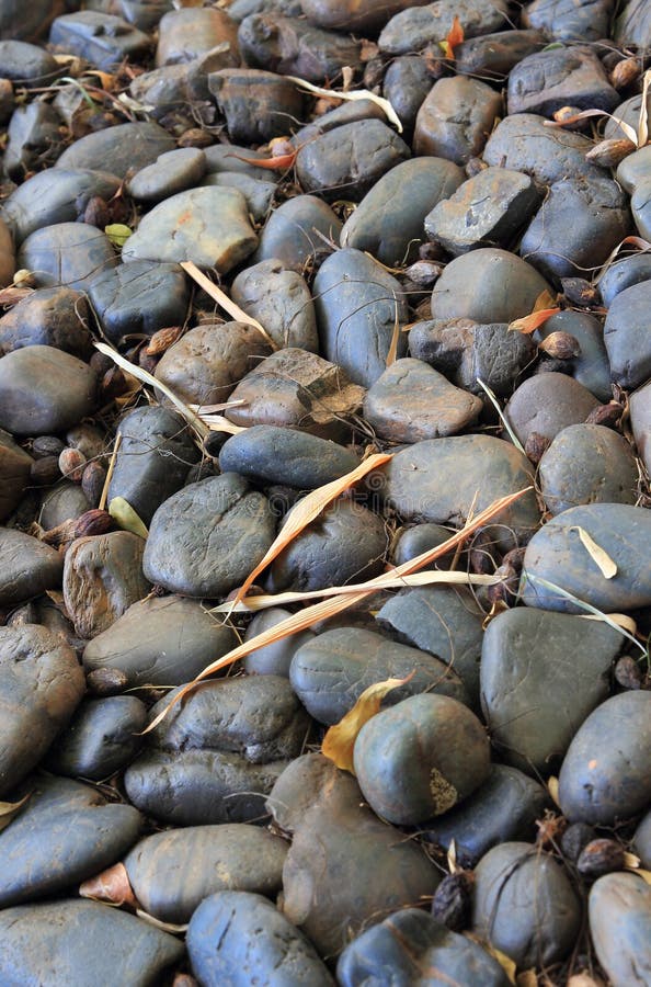 Small Stones Made Their Way on Foot. Stock Image - Image of edge ...