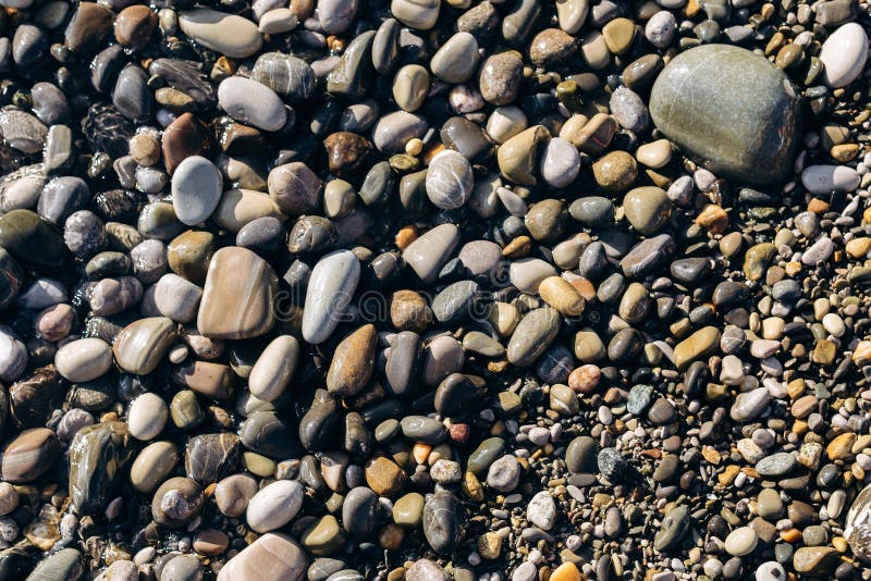 Small Stones Pebbles at the Sea Beach Background Texture. Stock Photo ...
