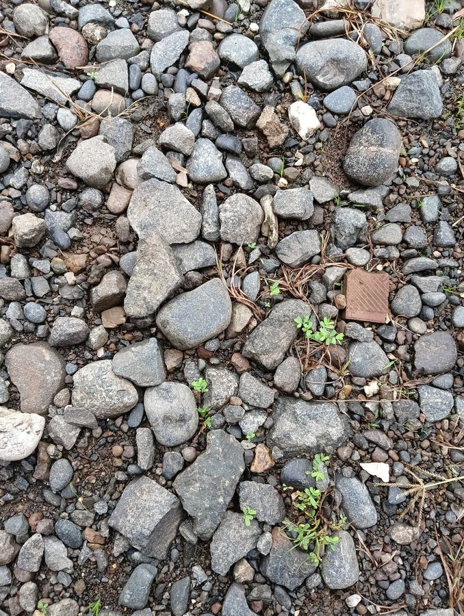 Small Stones Scattered on the Banks of the River when it Stopped ...
