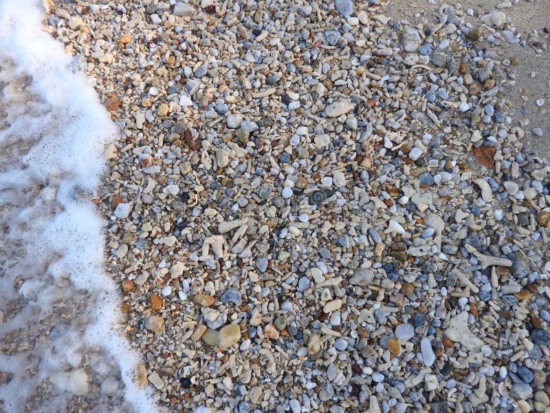 Small Stones and Shell Fragments Stock Image - Image of rock, summer ...