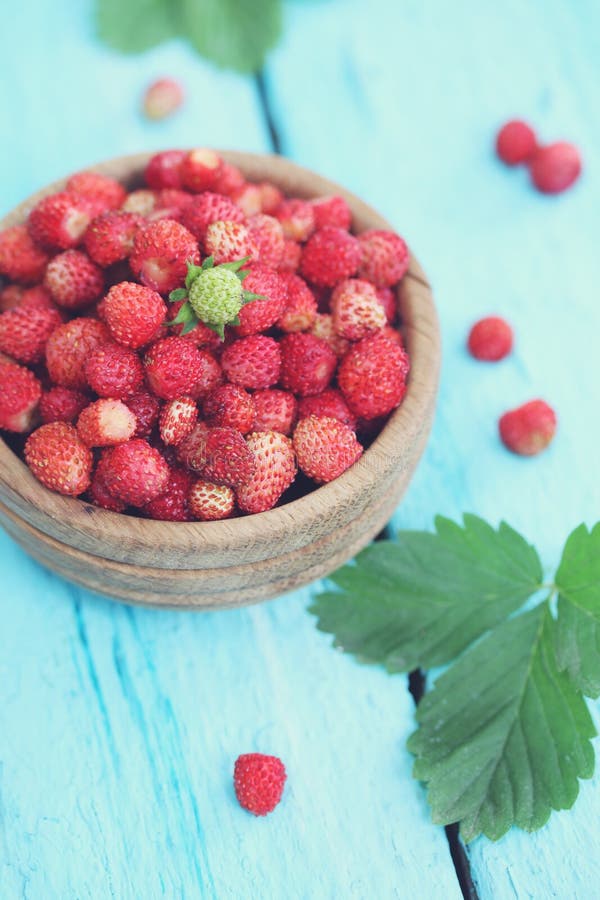 Small Strawberry on a Blue Background Stock Photo - Image of beautiful ...