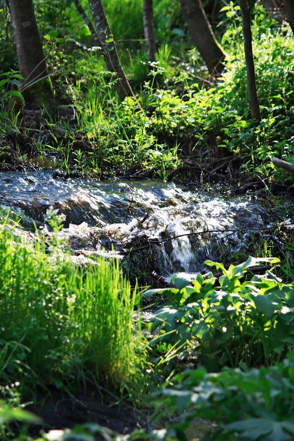 Small stream stock photo. Image of stream, fresh, nature - 14464122