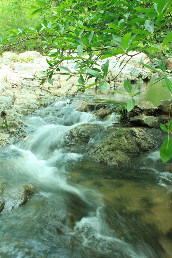 Tel Dan River Nature Reserve, North Israel Stock Photo - Image of ...