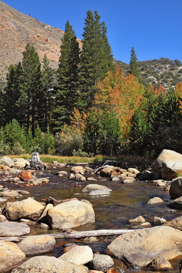 Small stream stock photo. Image of slopes, autumn, nature - 18637146