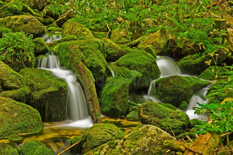 Small stream stock image. Image of rivers, waterfall - 27893345
