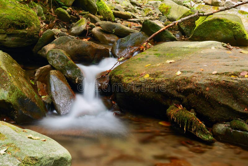 Small stream stock photo. Image of river, green, flowing - 28014596