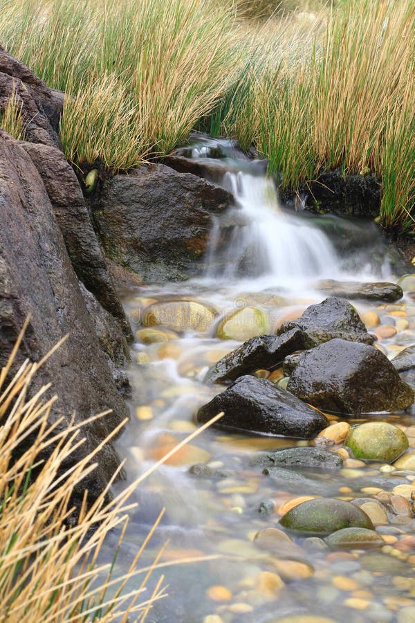 Small stream stock photo. Image of motion, tranquil, relax - 28882552