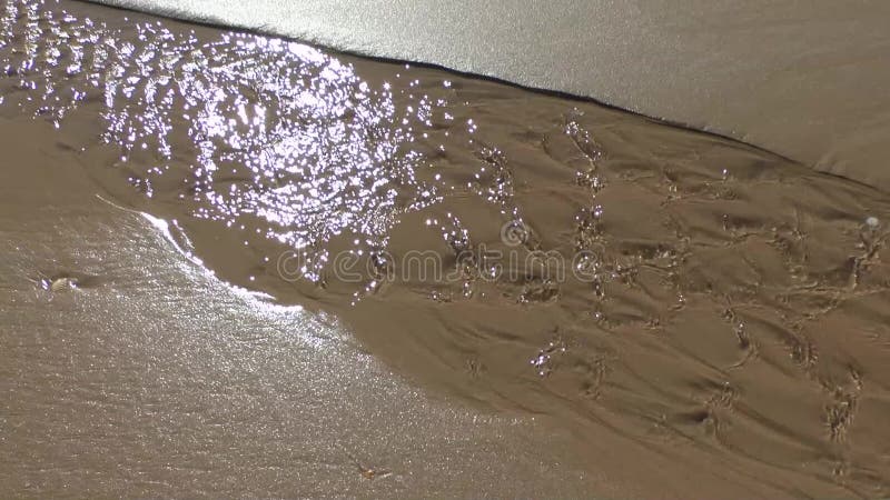 Small stream on the beach stock video. Video of nature - 105309095