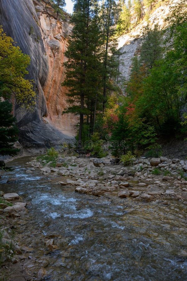 Small Stream at the Beginning of the Narrows Stock Photo - Image of ...