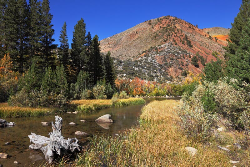 Small stream in California stock image. Image of stone - 18637293