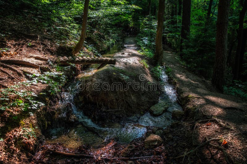 Small Stream Cascading Down through the Beautiful Forest Stock Image ...