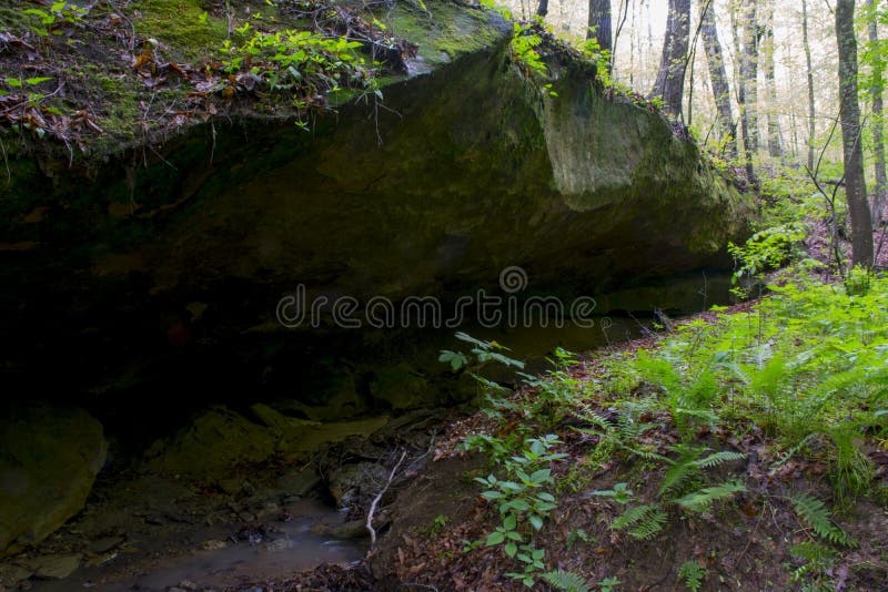 Small Stream beside Cave in Forest Stock Photo - Image of tree, cave ...