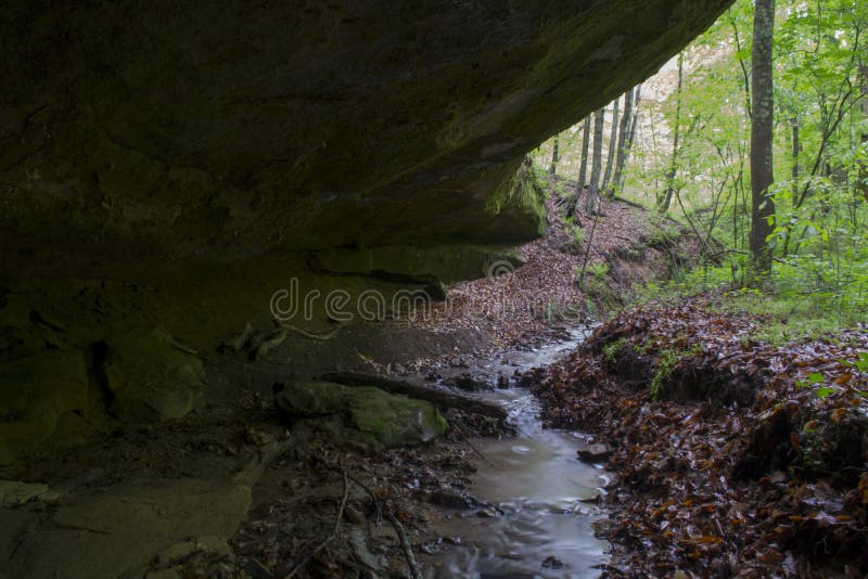 Small Stream beside Cave in Forest Stock Photo - Image of nature ...