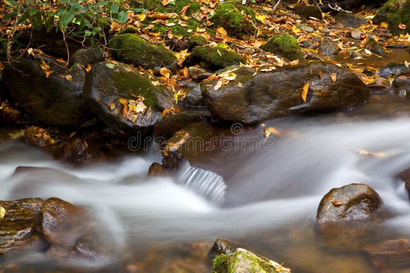 Small Stream stock image. Image of flowing, brooks, pretty - 30675301