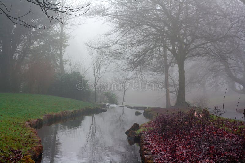 Small Stream on a Cold Foggy Winters Day Stock Image - Image of ...