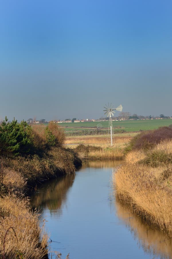 Small Stream in Countryside in Fall Stock Image - Image of stream ...