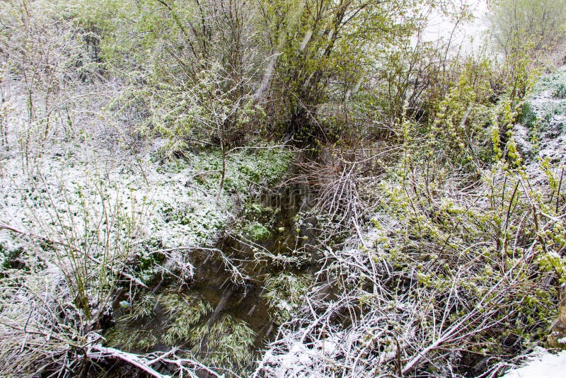 Small Stream Covered with First Snow Stock Image - Image of cloud ...