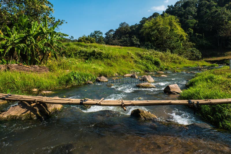 Small Stream that Curves Along the Forest. Stock Image - Image of wild ...