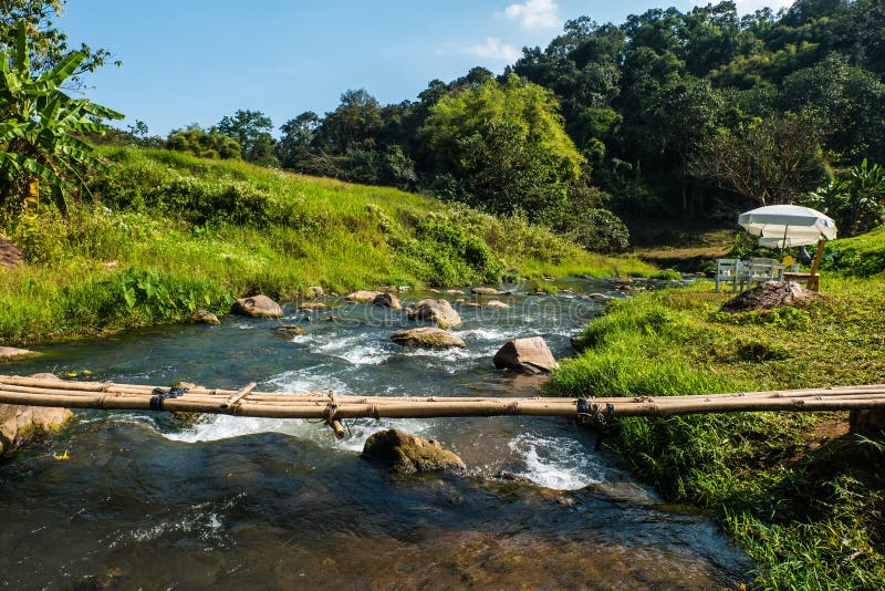 Small Stream that Curves Along the Forest. Stock Photo - Image of ...
